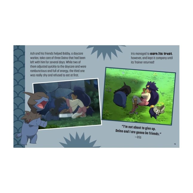 Pokémon: Trainer's Mini Exploration Guide to Unova | Pokémon Center ...