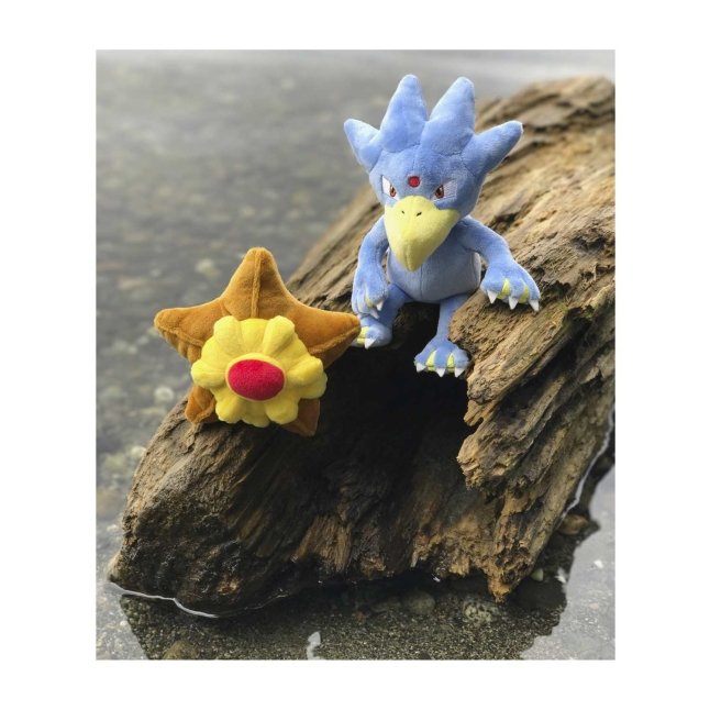 Staryu Sitting Cuties Plush - 5 In. | Pokémon Center UK Official Site