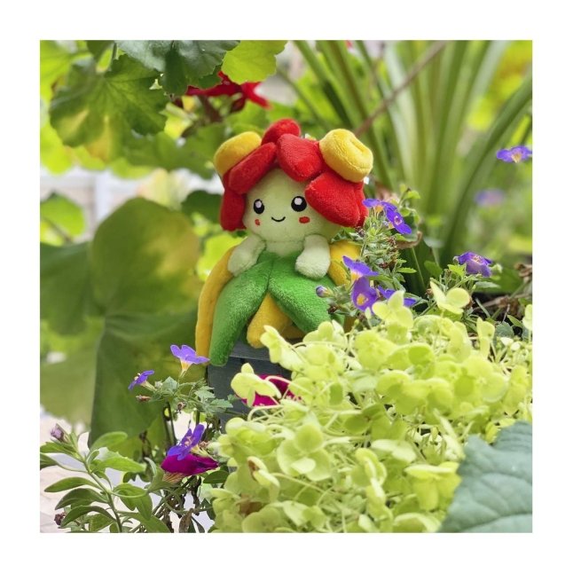 Bellossom Sitting Cuties Plush - 5 ¾ In. | Pokémon Center UK Official Site