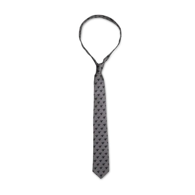 Pokémon Classics Charizard Gray Silk Necktie (One Size-Adult) | Pokémon ...