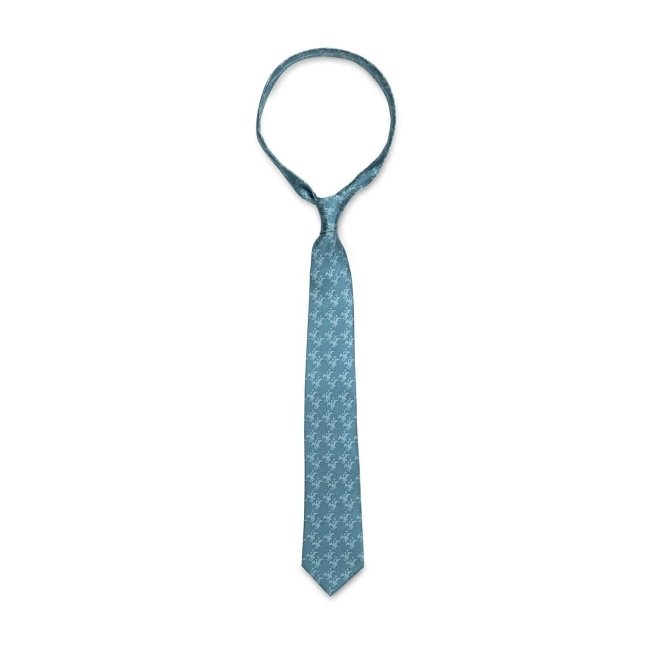 Pokémon Classics Charizard Teal Silk Necktie (One Size-Adult) | Pokémon ...