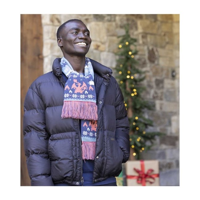 Charizard Festive Winter Knit Scarf (One Size-Adult) | Pokémon Center ...