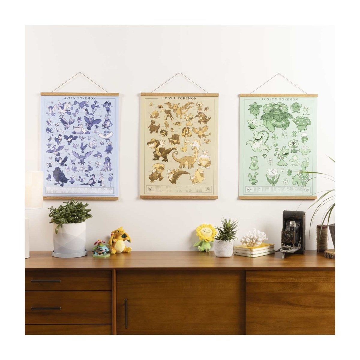 Pokémon Researcher: Avian Pokémon Poster | Pokémon Center Official Site