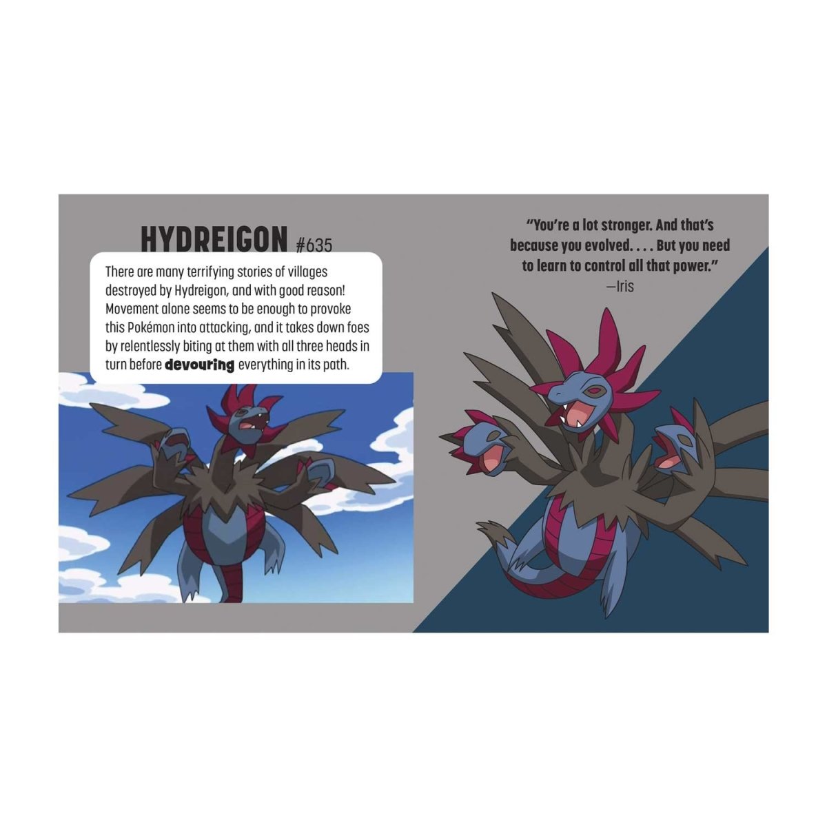 Pokémon: Trainer's Mini Exploration Guide to Unova | Pokémon Center ...