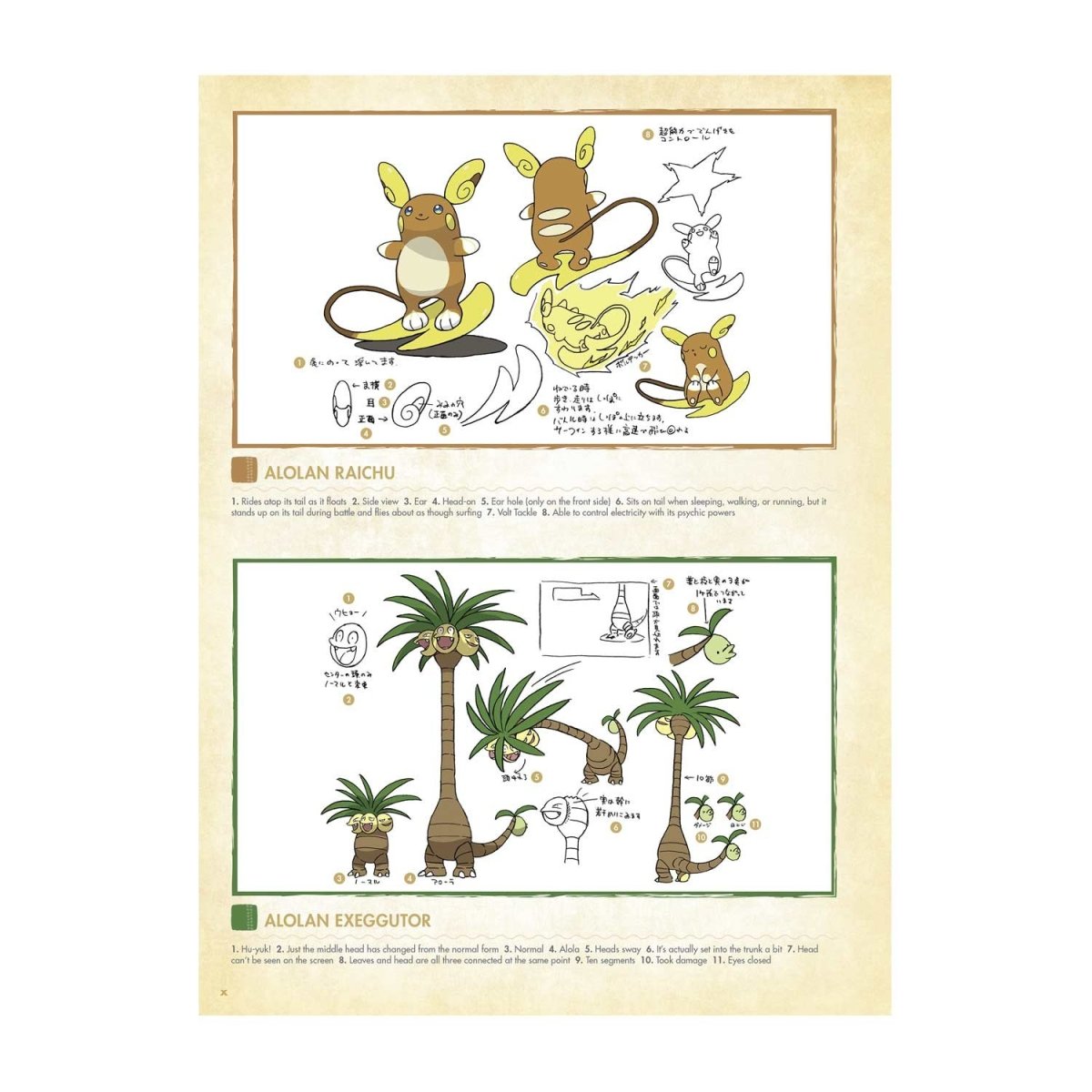 Pokémon Sun And Pokémon Moon The Official Alola Region Collectors