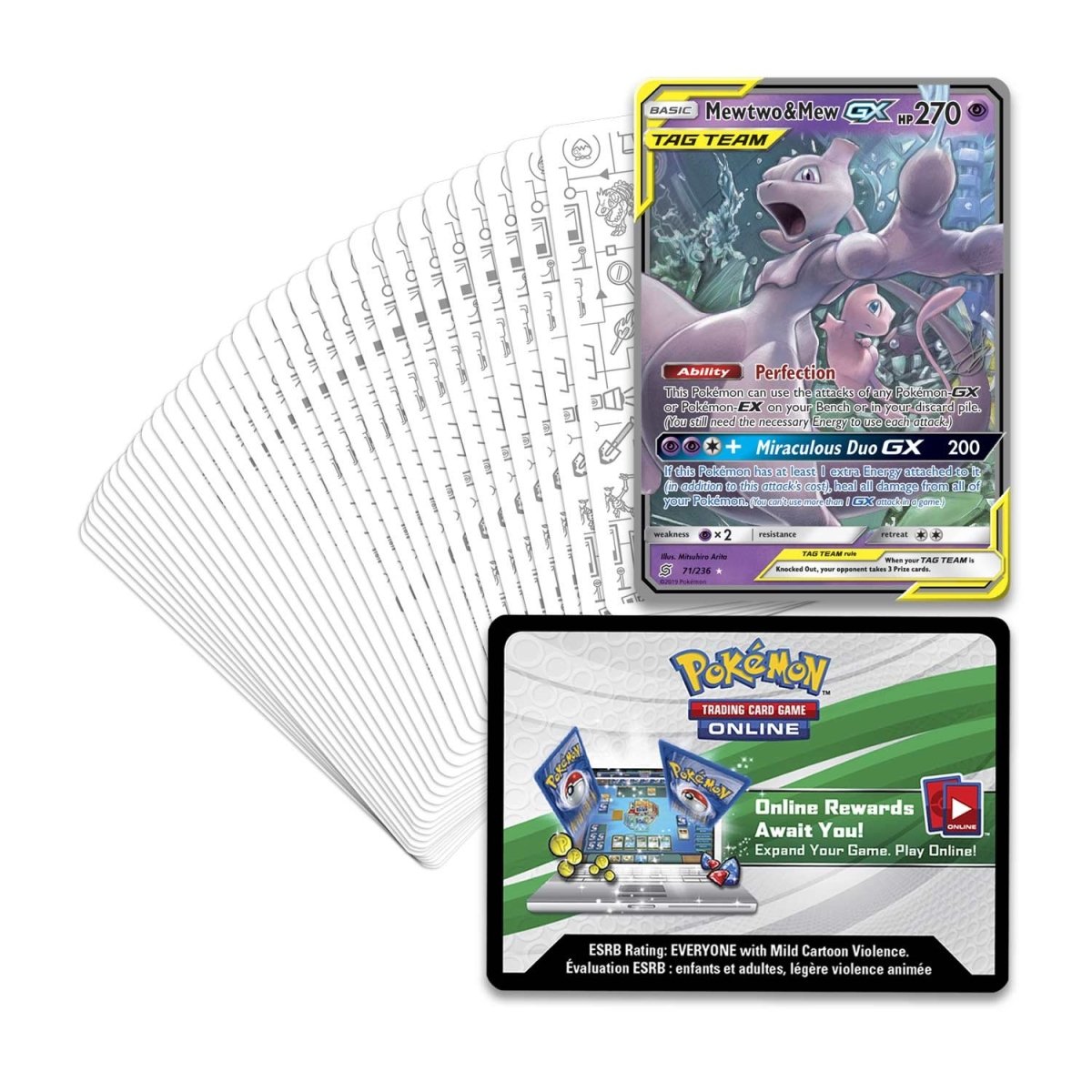 Pokémon TCG: 2019 World Championships Deck (Henry Brand, Perfection ...