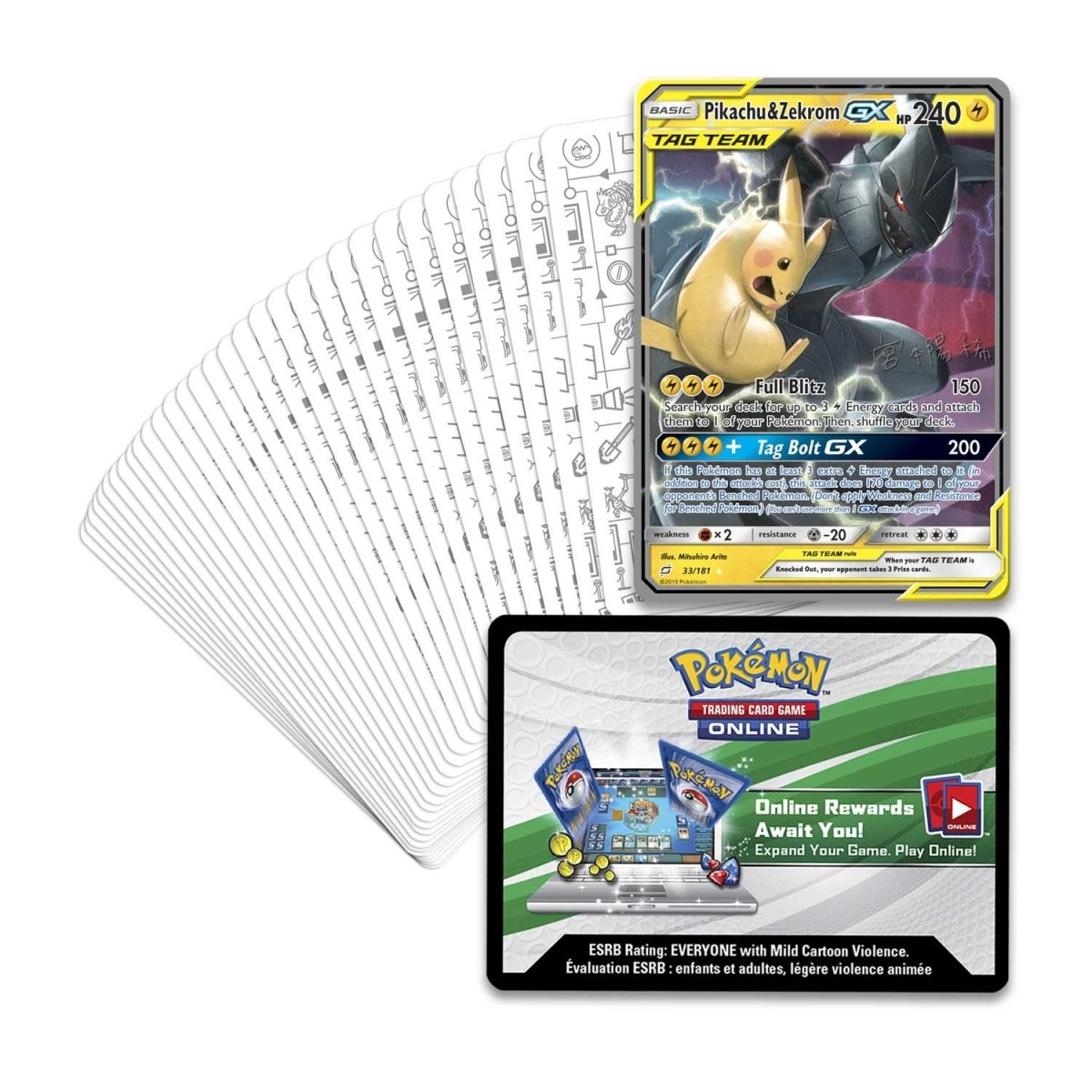 Pokémon TCG: 2019 World Championships Deck (Haruki Miyamoto, Pikarom Judge) | Pokémon Center ...