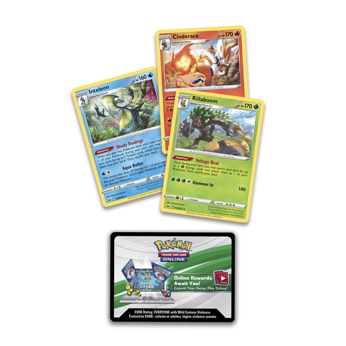 Pokémon TCG: Collector Chest (Fall 2020) | Pokémon Center Official Site