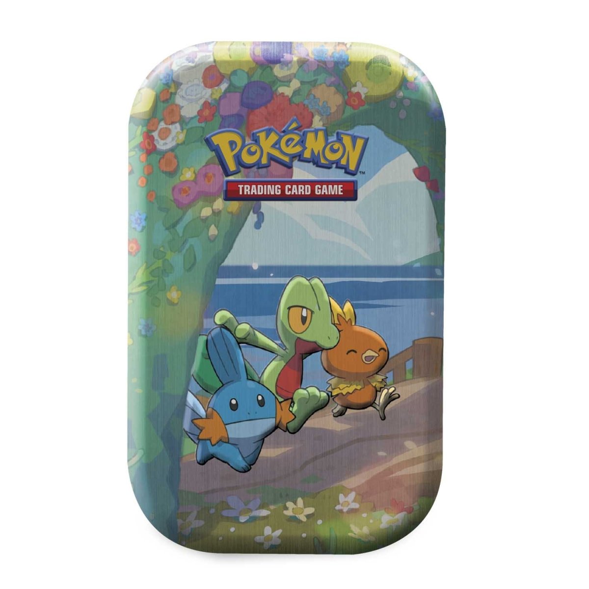 Pokémon TCG: Celebrations Mini Tin (Treecko, Torchic & Mudkip ...