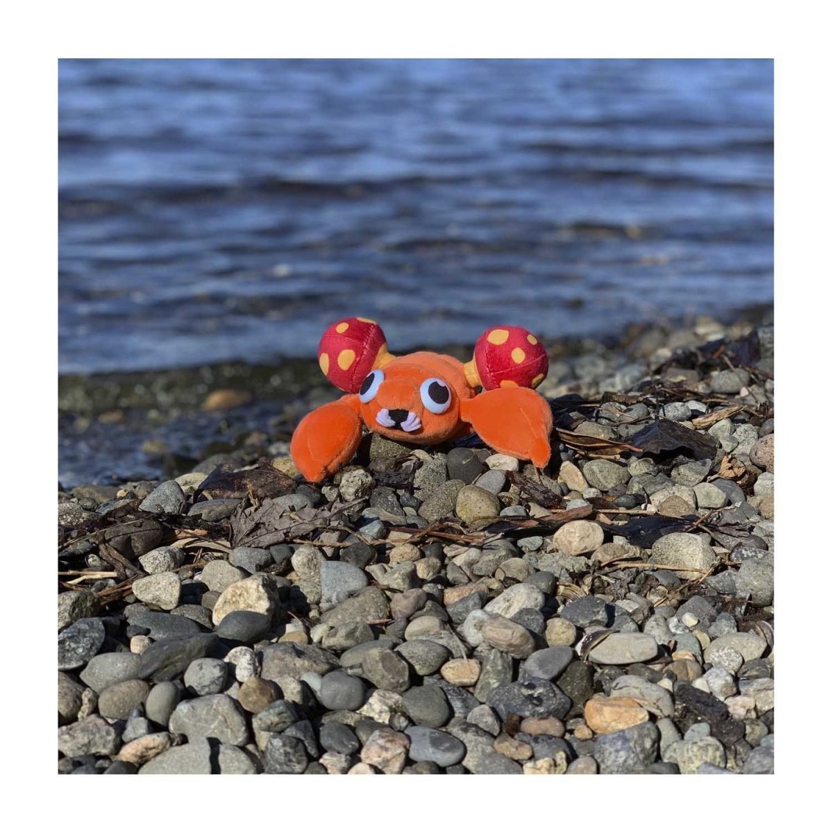 Paras Sitting Cuties Plush - 6 ¾ In. | Pokémon Center UK Official Site