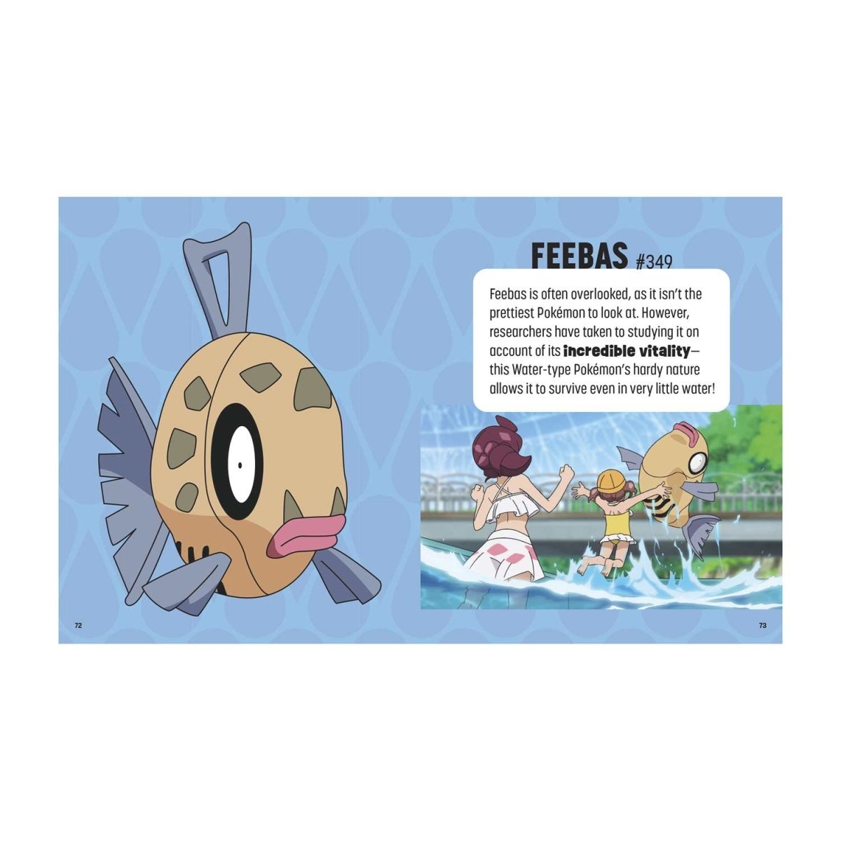 Pokémon: Trainer's Mini Exploration Guide to Hoenn | Pokémon Center ...