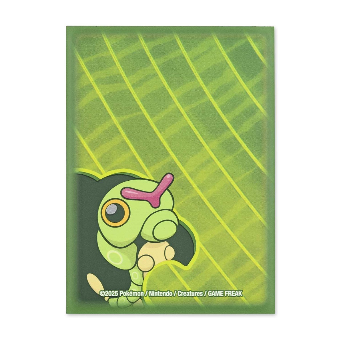 Pokémon TCG: Caterpie Munch Time Card Sleeves (65 Sleeves) | Pokémon ...