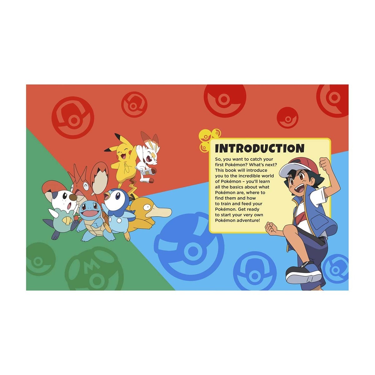 Pokémon: Beginner’s Guide | Pokémon Center UK Official Site