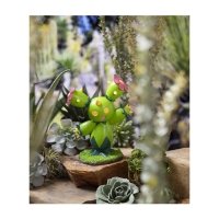 Maractus Pokémon Gardening Statue | Pokémon Center Official Site