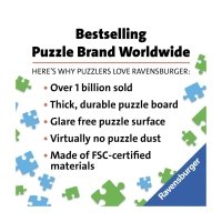 Kanto Pokémon Types Puzzle by Ravensburger (5,000 Pieces) | Pokémon ...